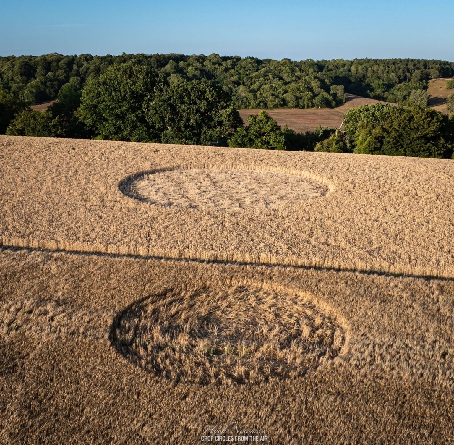 Latestcropcircles