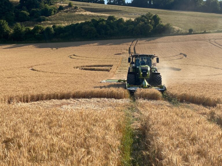 Latestcropcircles